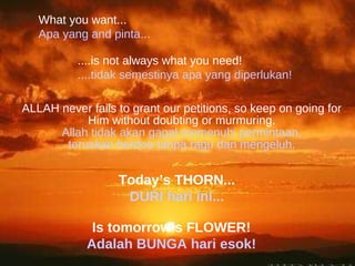 Bunga dan rama2 | PPS