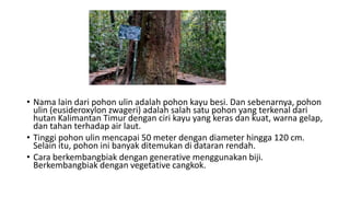 bunga dan tanaman nasional MATERI KELAS 6.pptx