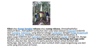 bunga dan tanaman nasional MATERI KELAS 6.pptx