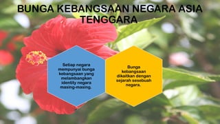 BUNGA KEBANGSAAN NEGARA ASIA TENGGARA.pptx