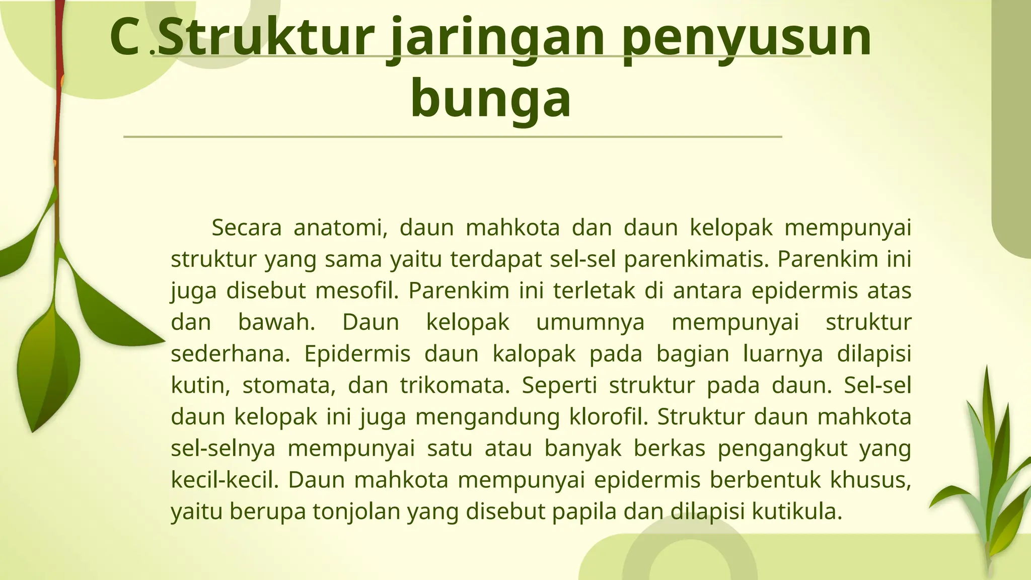 ANATOMI BUNGA, CIRI DAN STRUKTUR SERTA BAGIAN BUNGA | PPTX