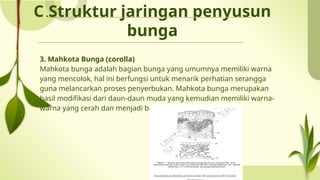 ANATOMI BUNGA, CIRI DAN STRUKTUR SERTA BAGIAN BUNGA | PPTX