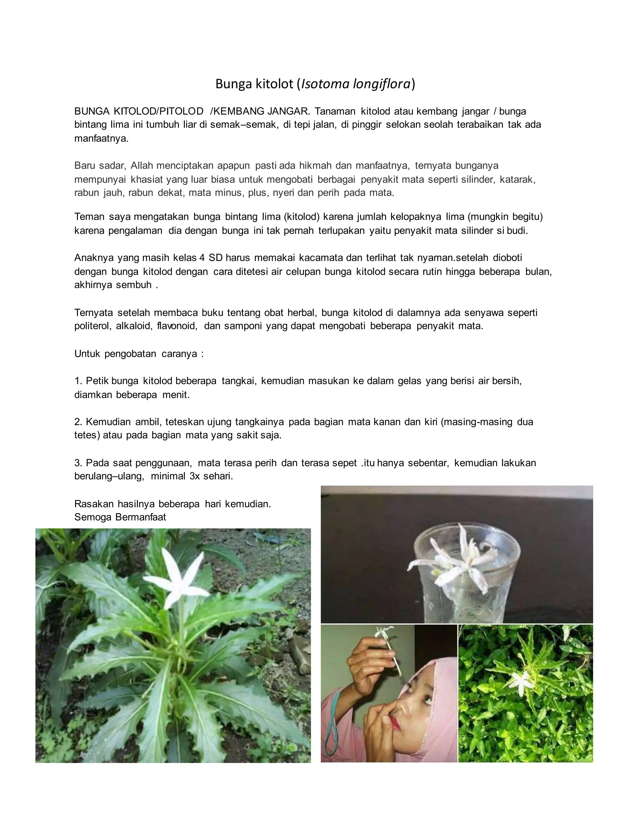 Bunga kitolod | DOCX