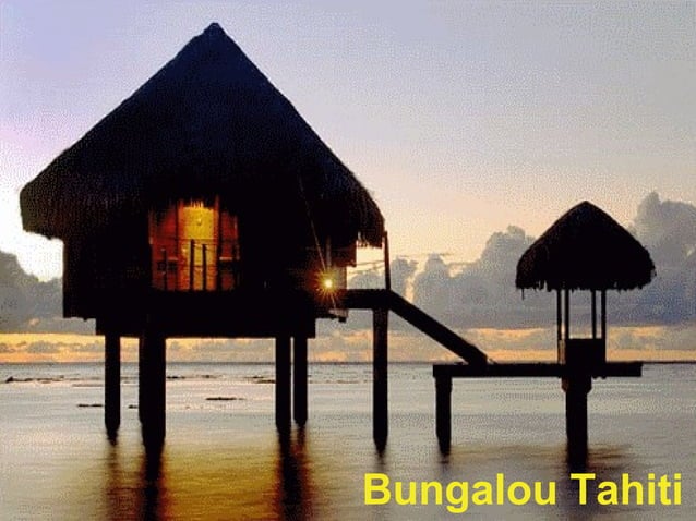 Bungalouri Austrocasa | PPT