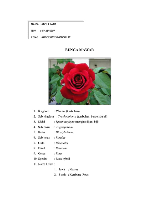 Bunga mawar | DOCX