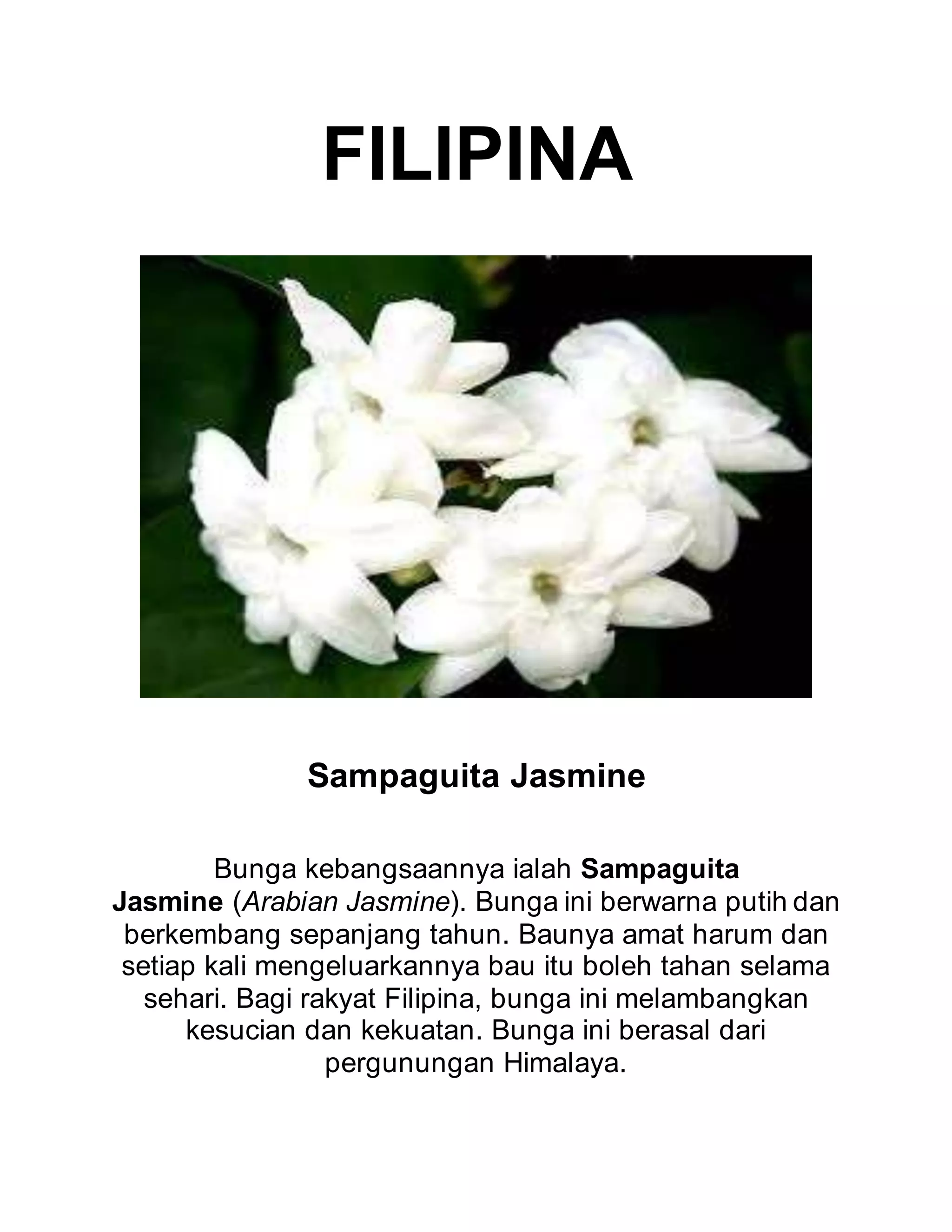 Bunga negara asean | DOCX
