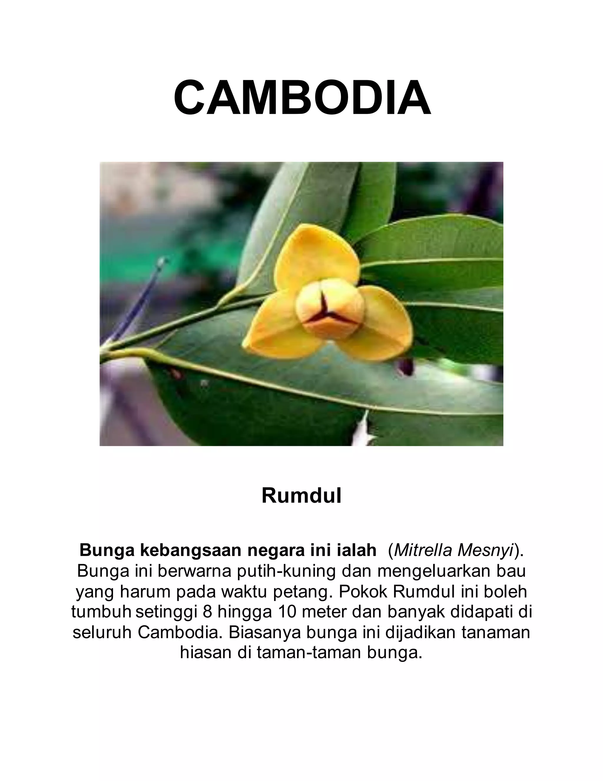 Bunga negara asean | DOCX