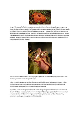 Bunga pakma atau rafflesia