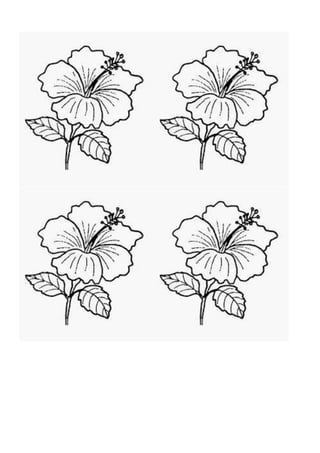 Bunga Raya Black And White