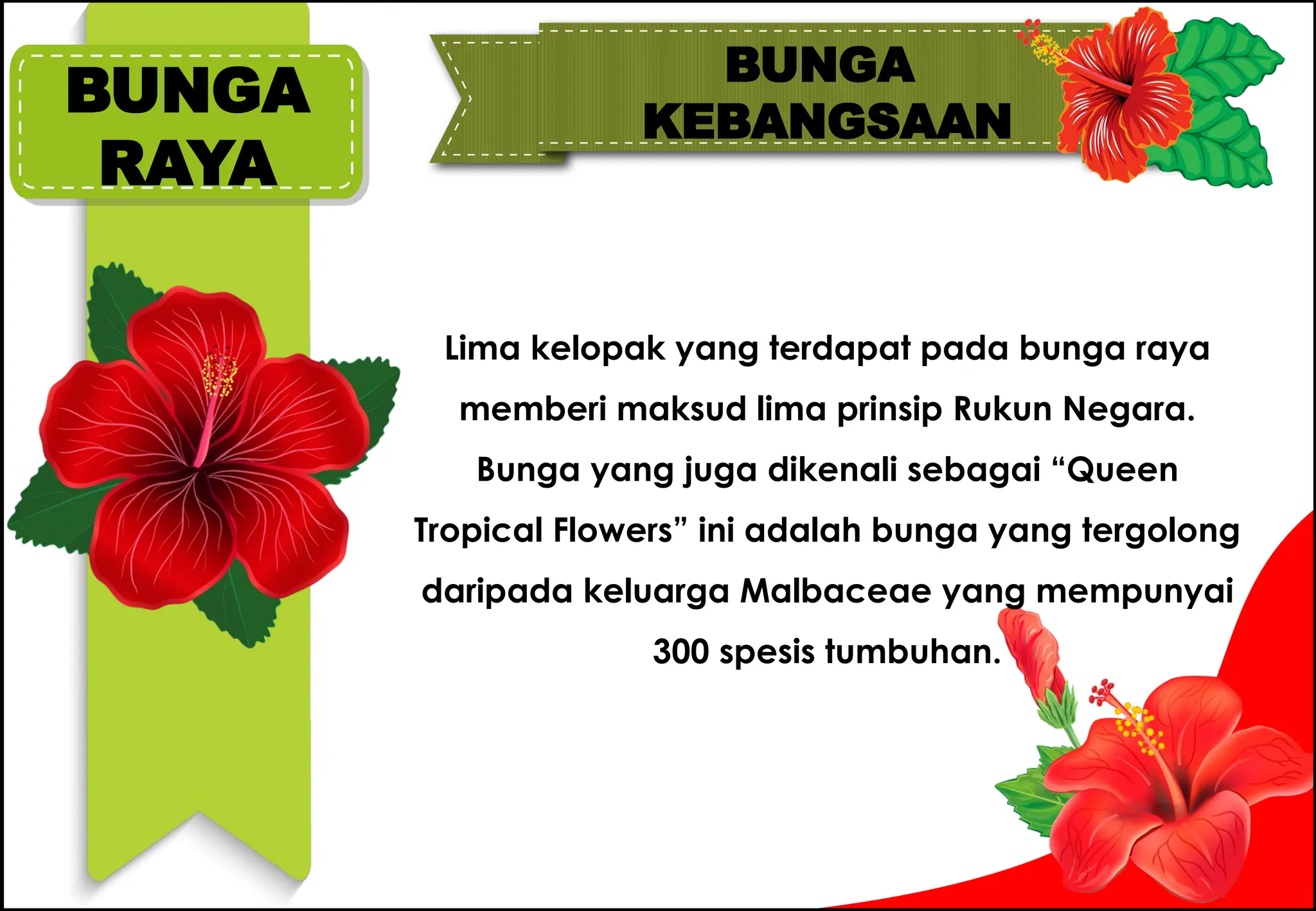 BUNGA RAYA, MAKSUD DAN KETERANGAN SEBAGAI PANDUAN | PPTX