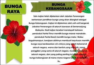 BUNGA RAYA, MAKSUD DAN KETERANGAN SEBAGAI PANDUAN | PPTX