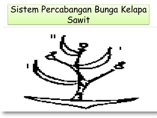 Bunga sawit | PPT