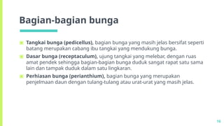 bagian-bagian bunga secara umum atau morfologi | PPTX