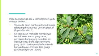 bagian-bagian bunga secara umum atau morfologi | PPTX