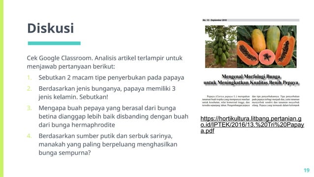 bagian-bagian bunga secara umum atau morfologi | PPTX