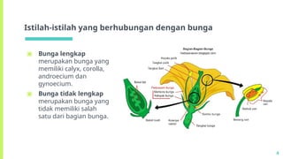 bagian-bagian bunga secara umum atau morfologi | PPTX