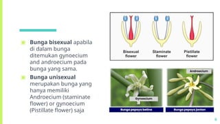 bagian-bagian bunga secara umum atau morfologi | PPTX