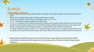 Bunga sempurna | PPTX