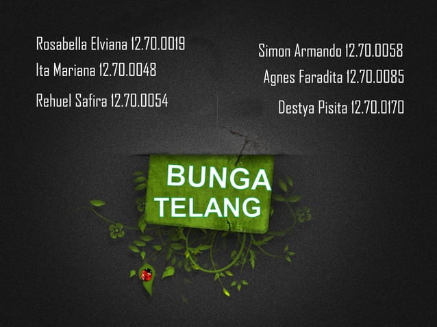 Bunga telang | PPT