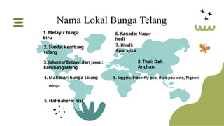 Bunga Telang, tentang pengertian dan klasifikasinya | PPTX