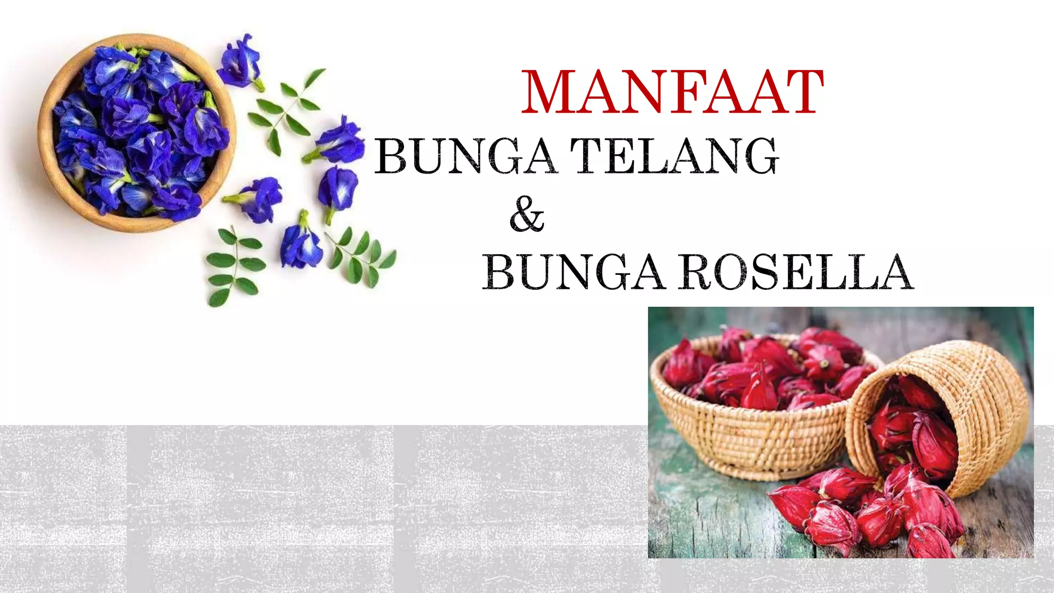 Bunga telang & Bunga Rosella.pptx