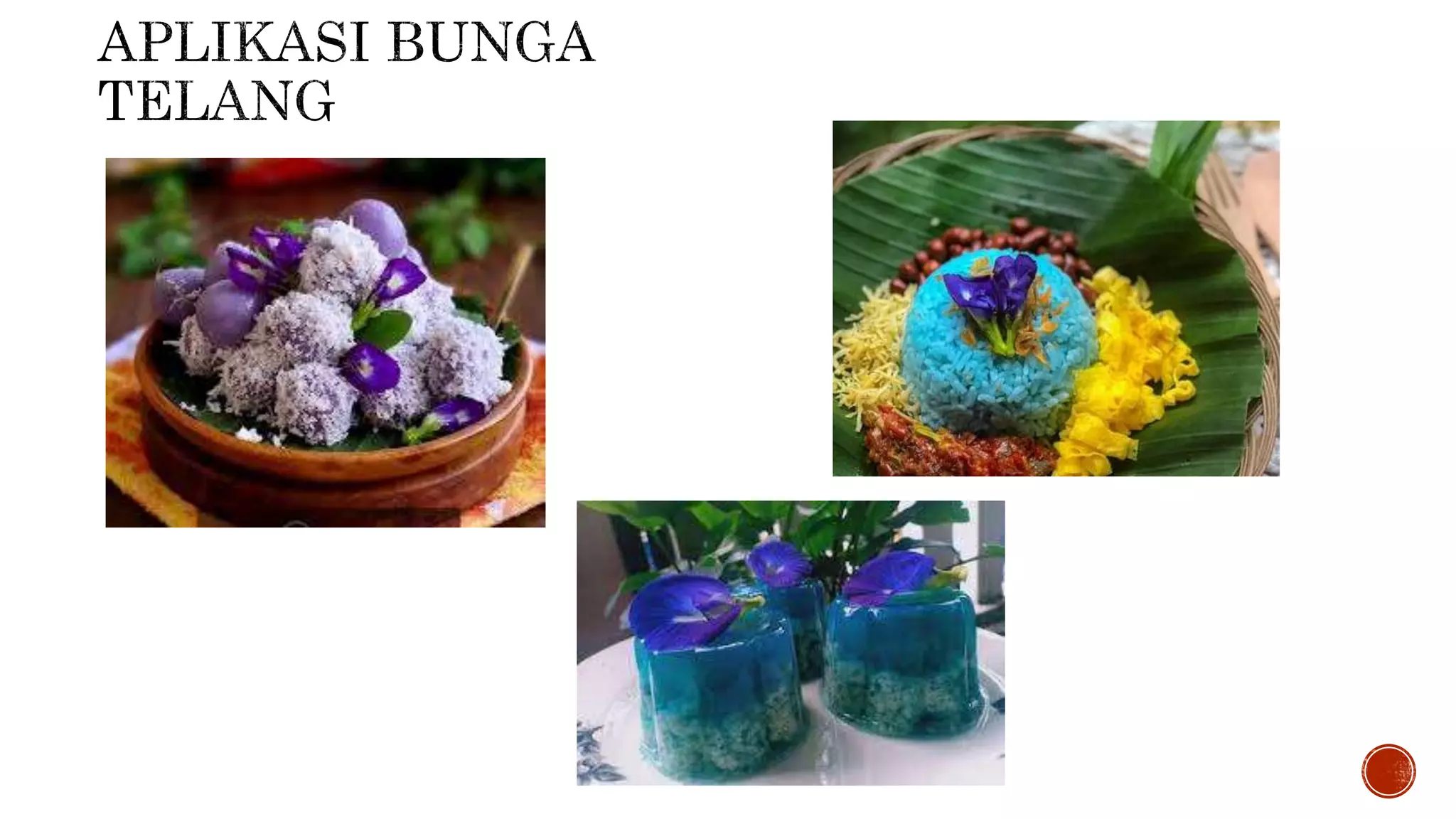 Bunga telang & Bunga Rosella.pptx