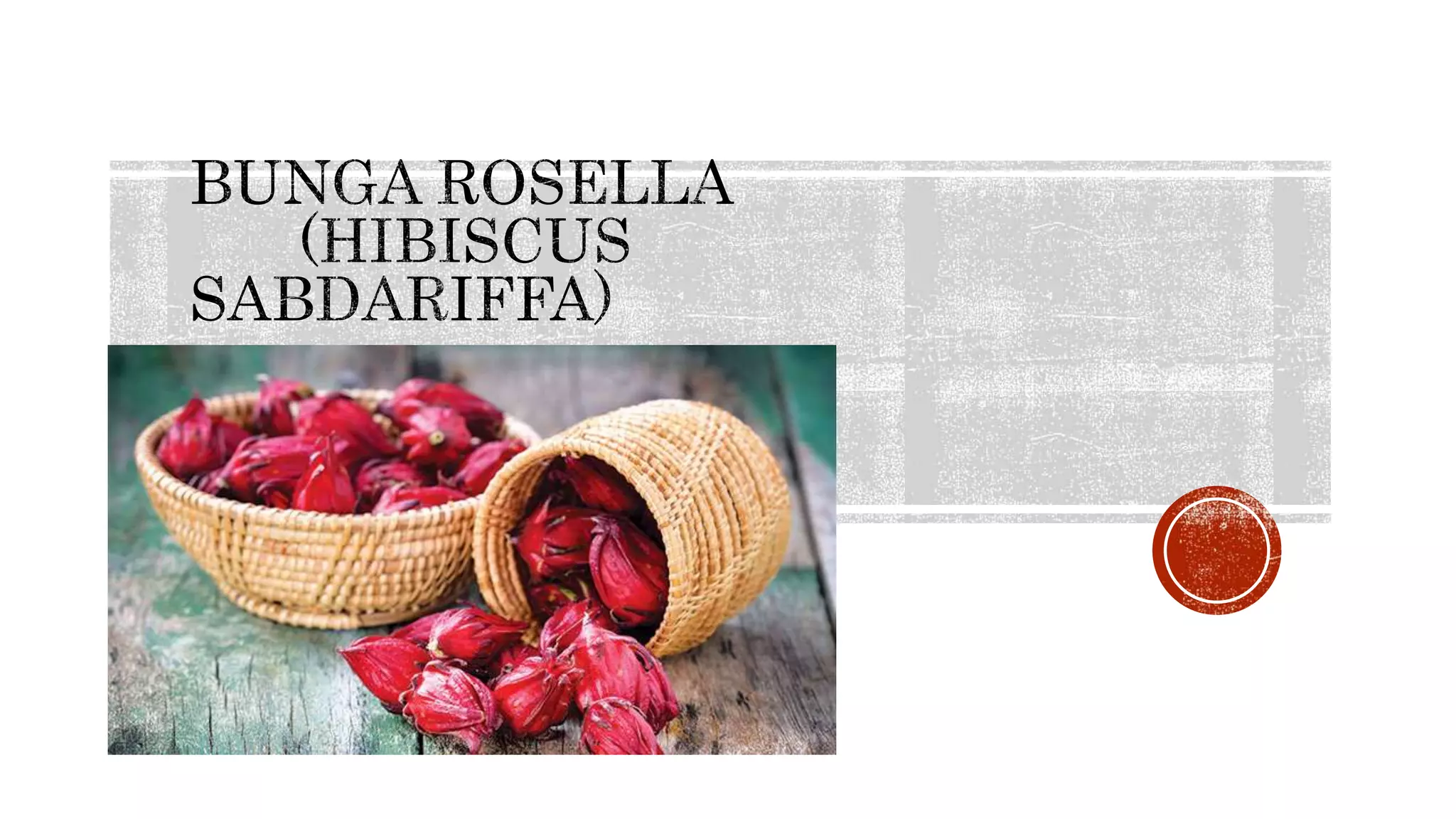 Bunga telang & Bunga Rosella.pptx