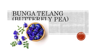 Bunga telang & Bunga Rosella.pptx