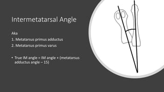 Bunion work - up | PPT