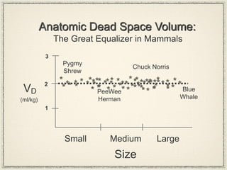 Bunnell History and High Frequency Jet Ventilator Theory | PDF