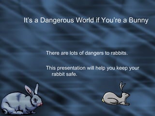 Bunny Slide | PPT