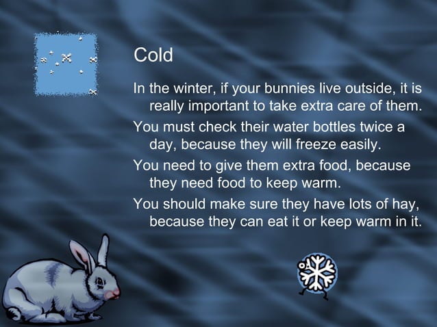 Bunny Slide | PPT
