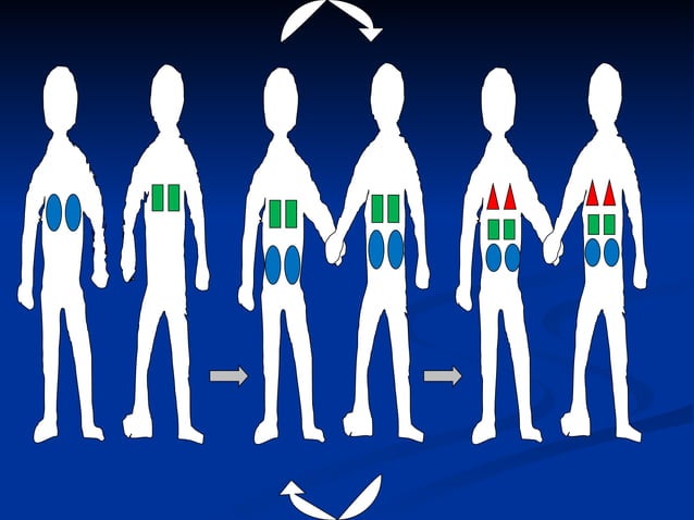 Six pictures to change your perception (Bunra Hun, Cambodia) | PPT