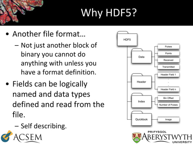 SPD and KEA: HDF5 based file formats for Earth Observation | PPT