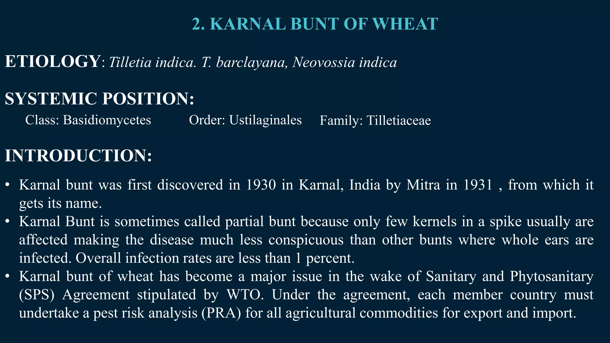 Bunt of wheat | PPTX