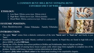 Bunt of wheat | PPTX