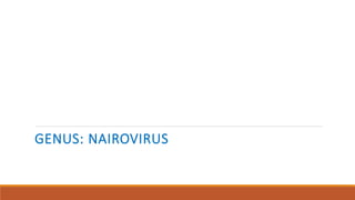 Animal diseases caused by Bunyaviridae_Nabaraj | PPT