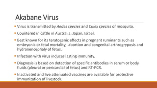 Animal diseases caused by Bunyaviridae_Nabaraj | PPT
