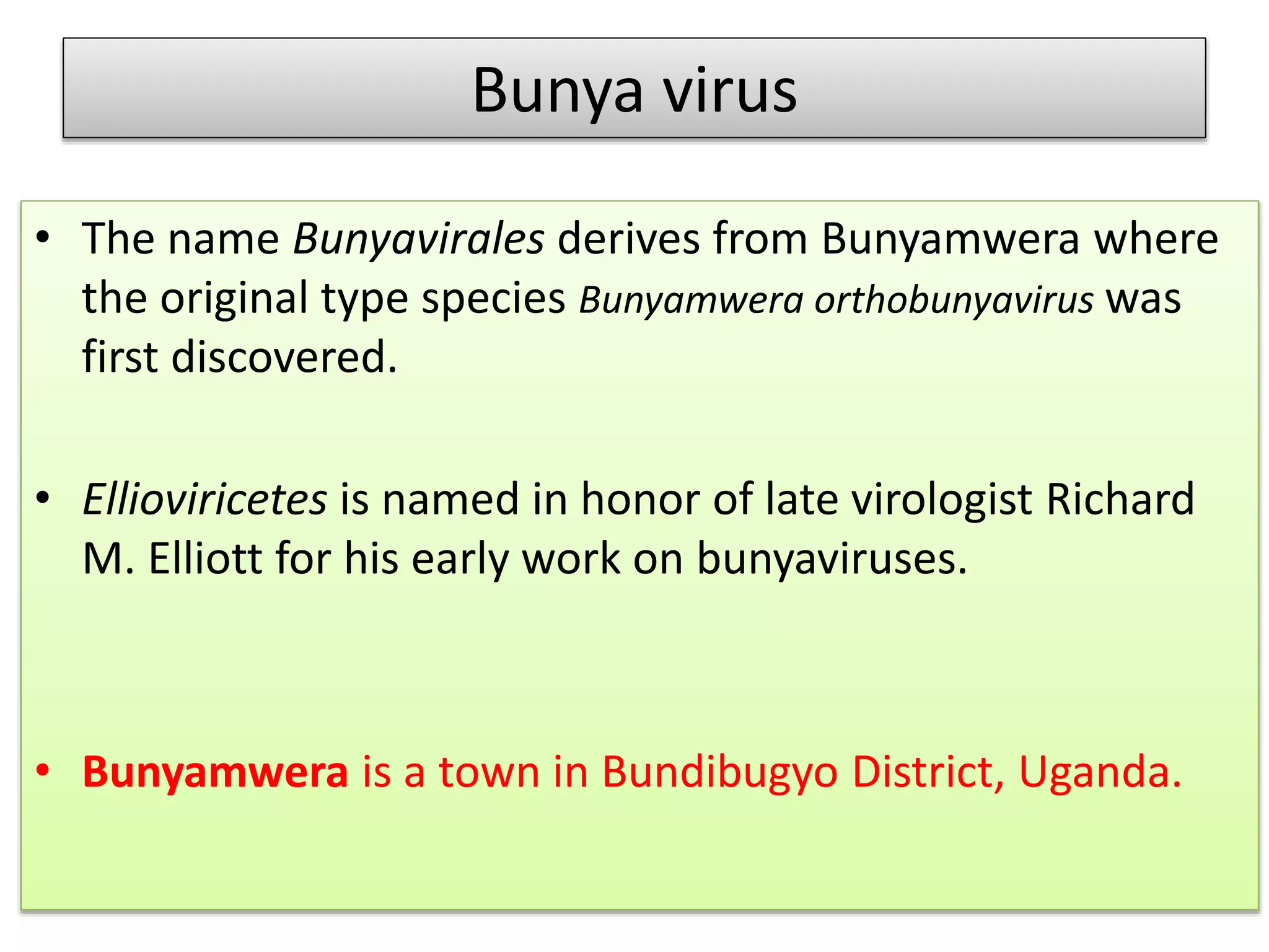 Bunya virus- Bunyaviridae | PPTX