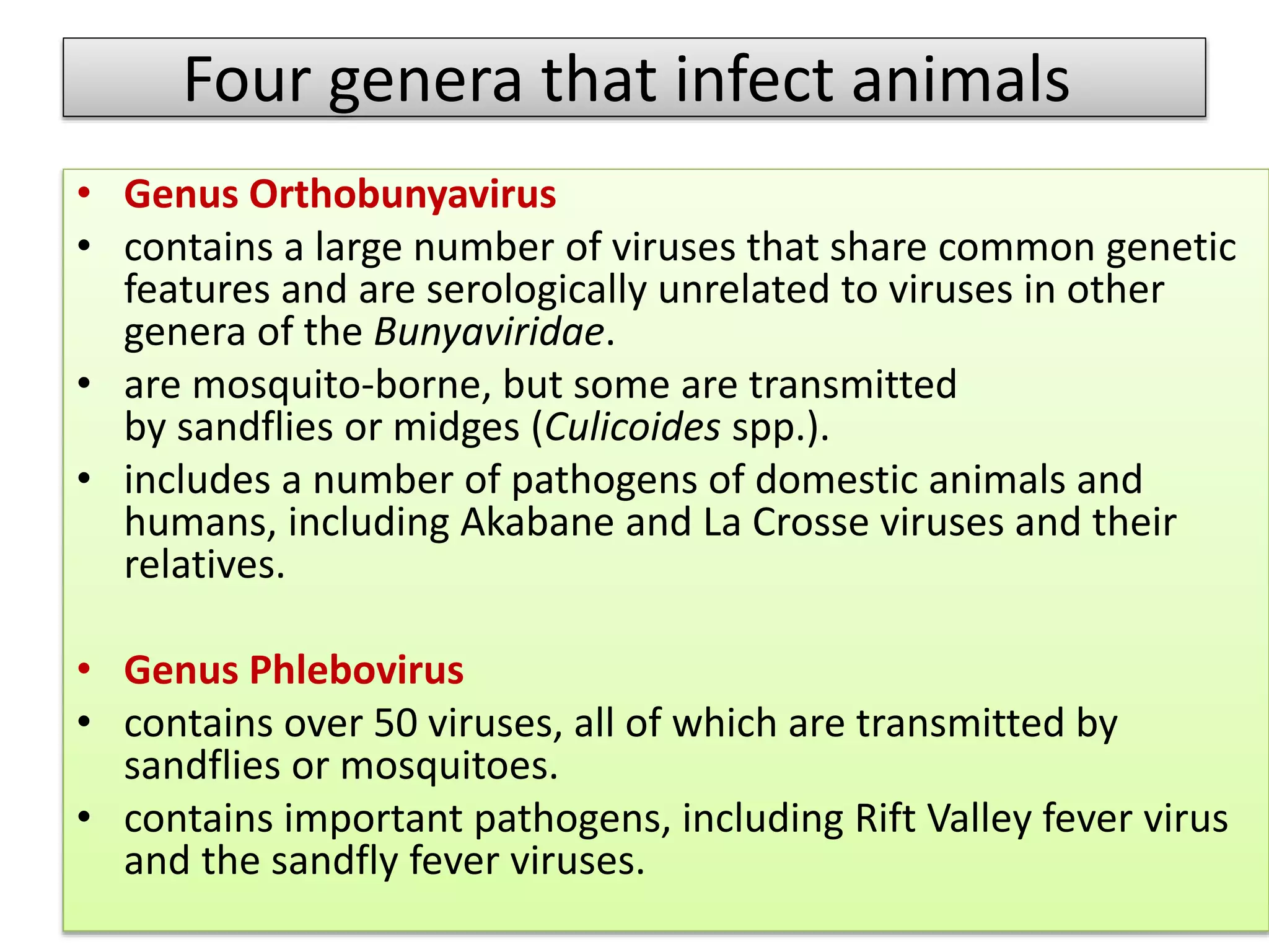 Bunya virus- Bunyaviridae | PPTX