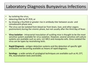 Bunya virus- Bunyaviridae | PPTX