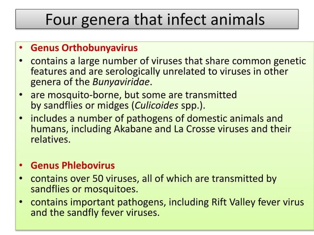 Bunya virus- Bunyaviridae | PPTX | Biological Sciences | Science