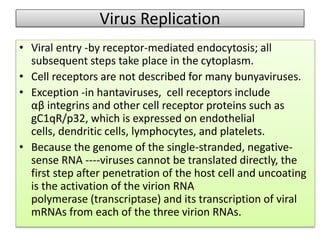 Bunya virus- Bunyaviridae | PPTX