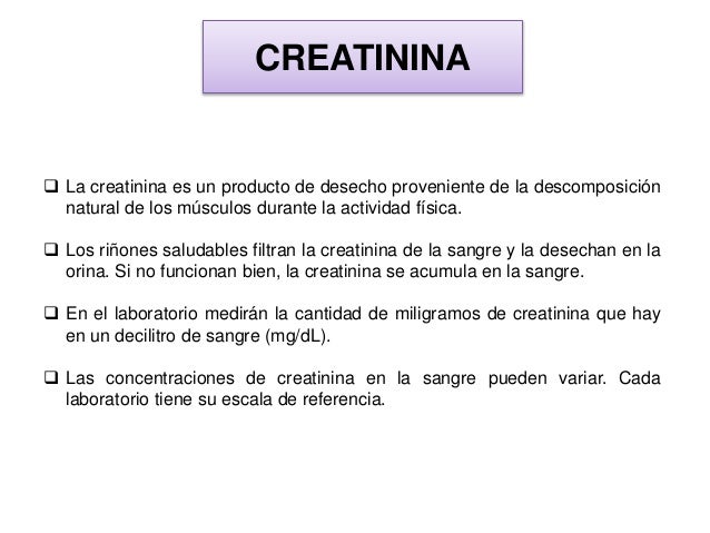 Qué Es La Creatinina, Valores Normales Y Por Qué Se Altera – JKEK