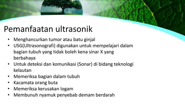 Bunyi dan pemantulan bunyi.pptx
