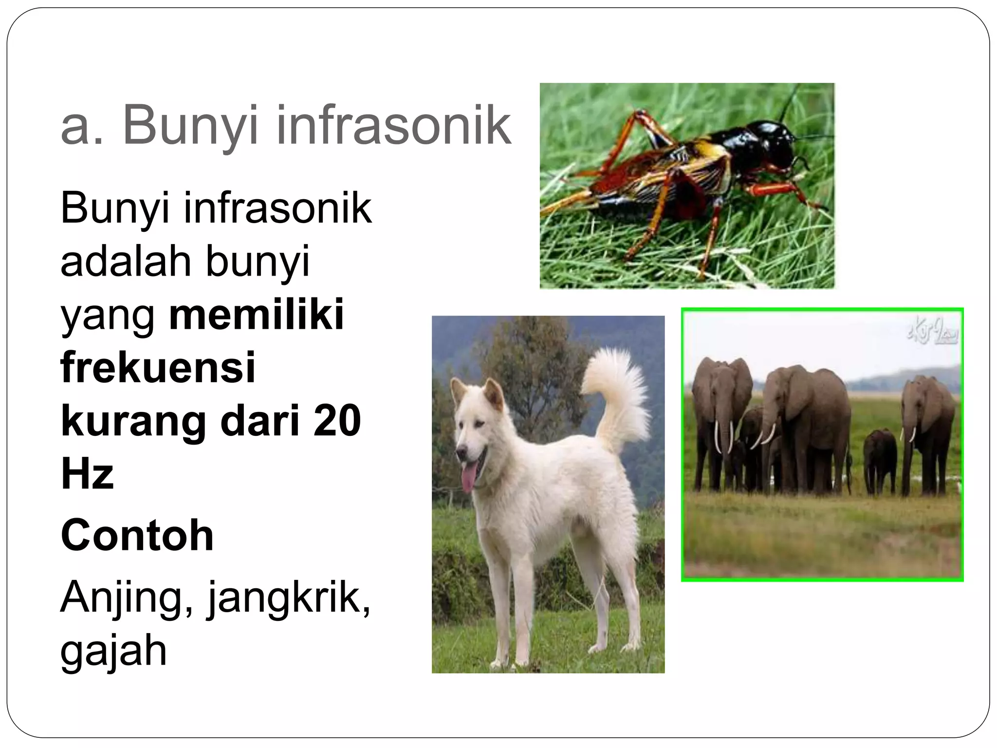 BUNYI DAN PENDENGARAN.pptx