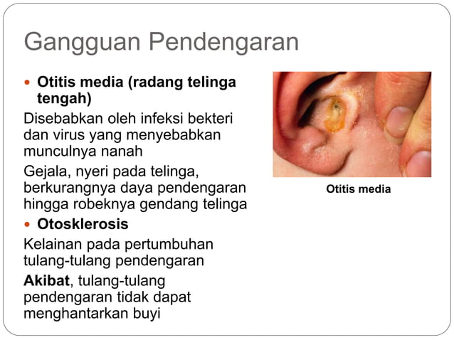 BUNYI DAN PENDENGARAN.pptx
