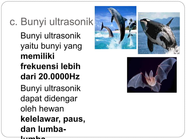 BUNYI DAN PENDENGARAN.pptx