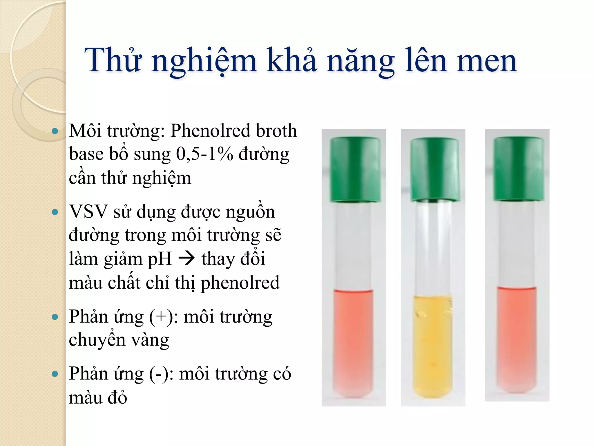 thử nghiệm sinh hoá | PDF