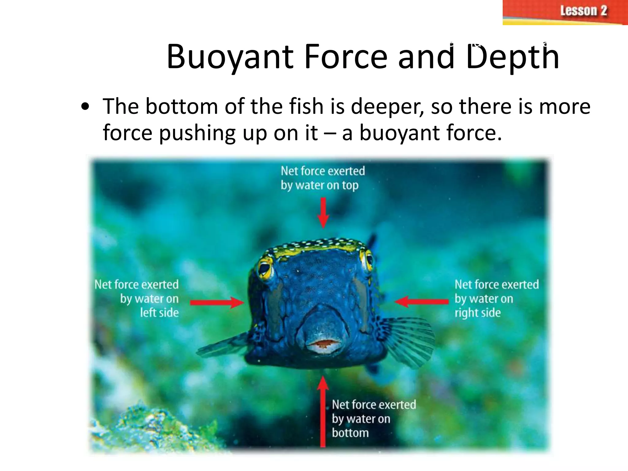 Buoyancy.ppt